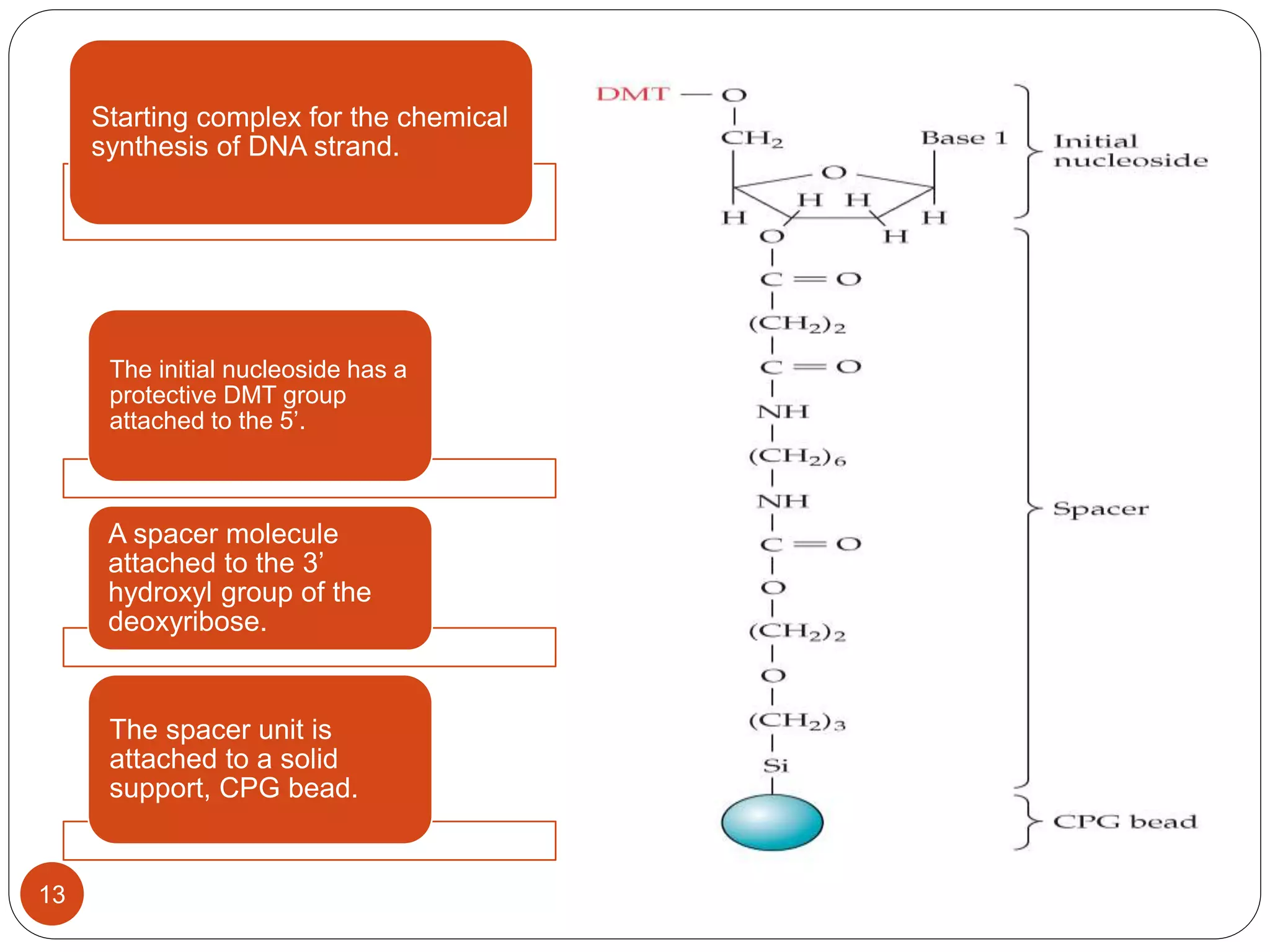 Chemical synthesis of dna | PPTX