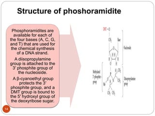 Chemical synthesis of dna | PPTX