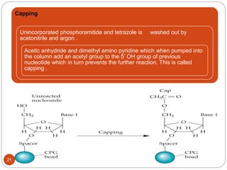 Chemical synthesis of dna | PPTX