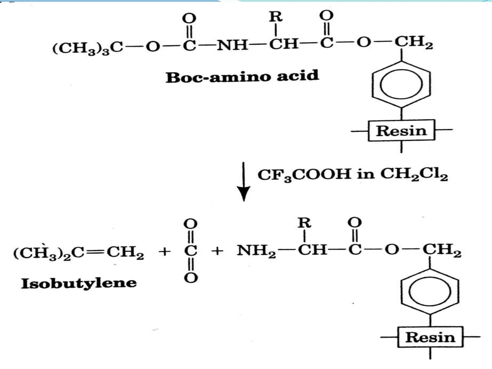Chemical synthesis of polypetide presentation (1) | PPT