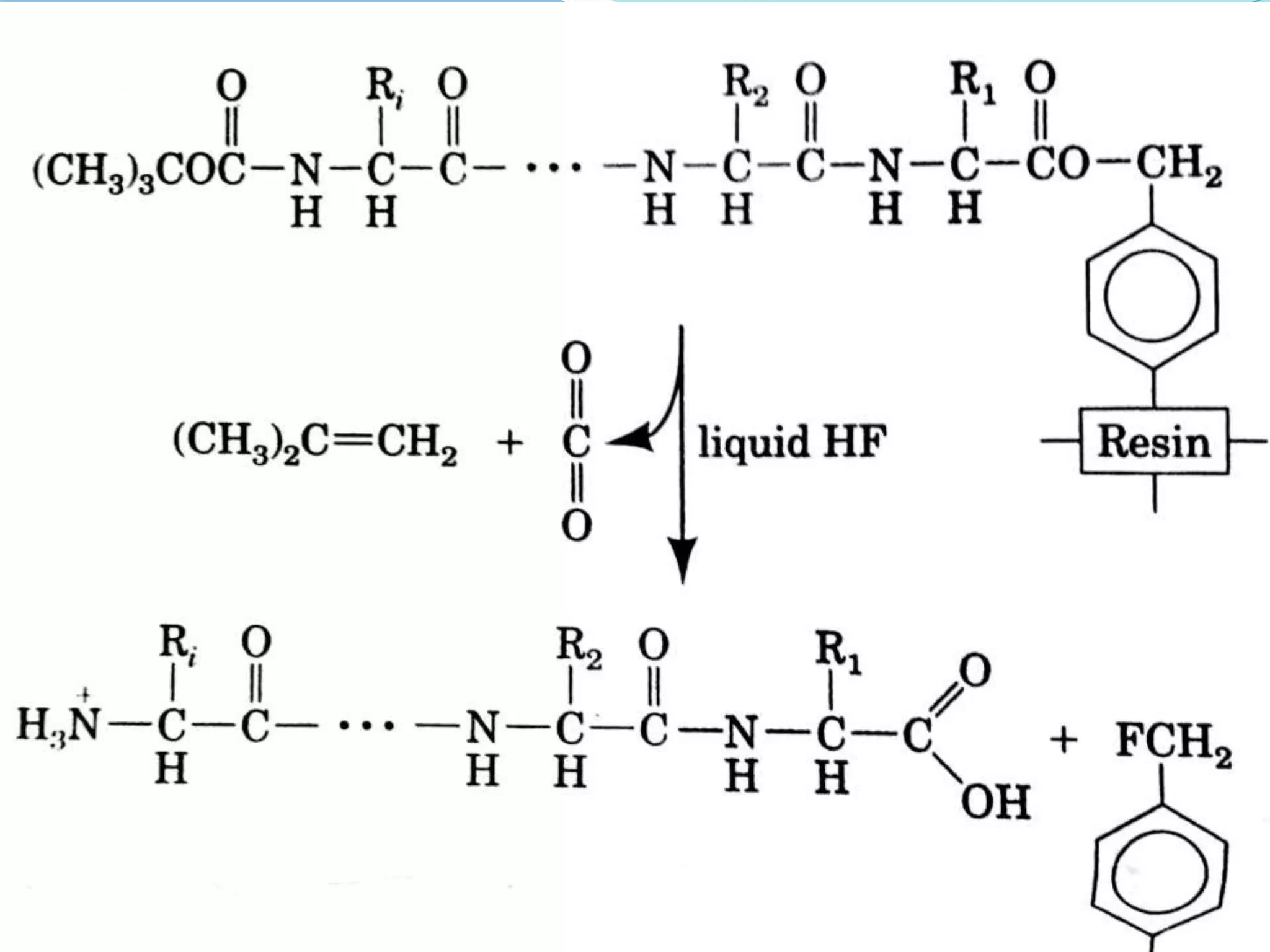 Chemical synthesis of polypetide presentation (1) | PPT