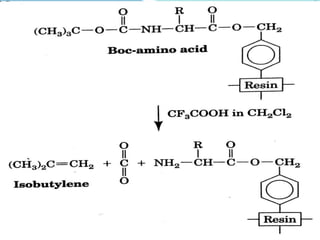 Chemical synthesis of polypetide presentation (1) | PPT