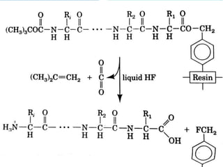 Chemical synthesis of polypetide presentation (1) | PPT
