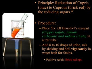 Chemical tests for urine | PPT | Blood Disorders | Diseases and Conditions