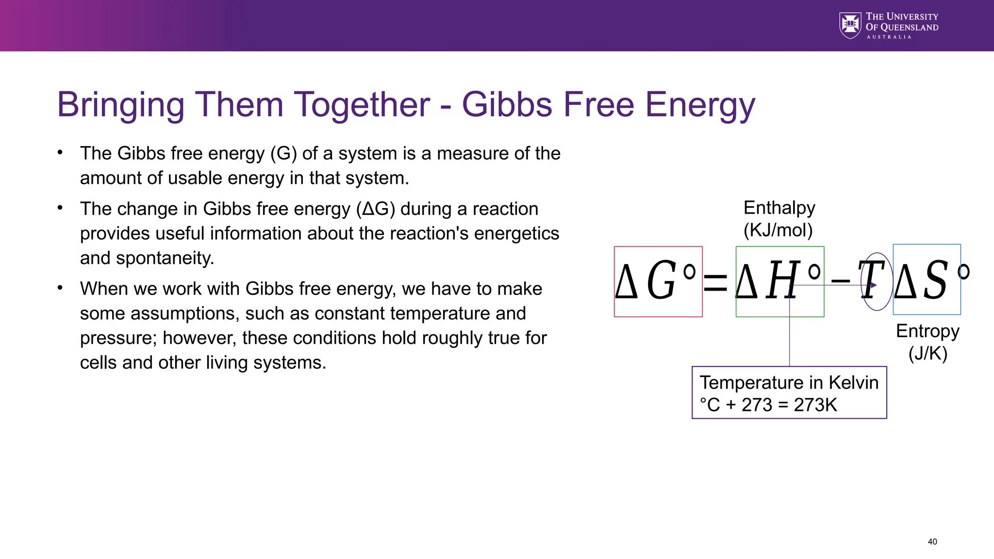 Chemical Thermodynamics for 1st year students | PPTX