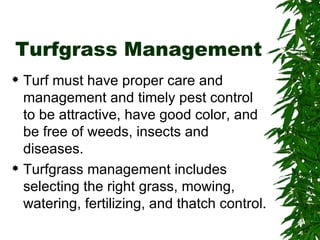 Chemical Training Turfgrass Management | PPT