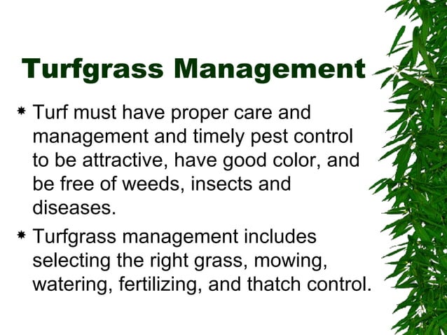 Chemical Training Turfgrass Management | PPT