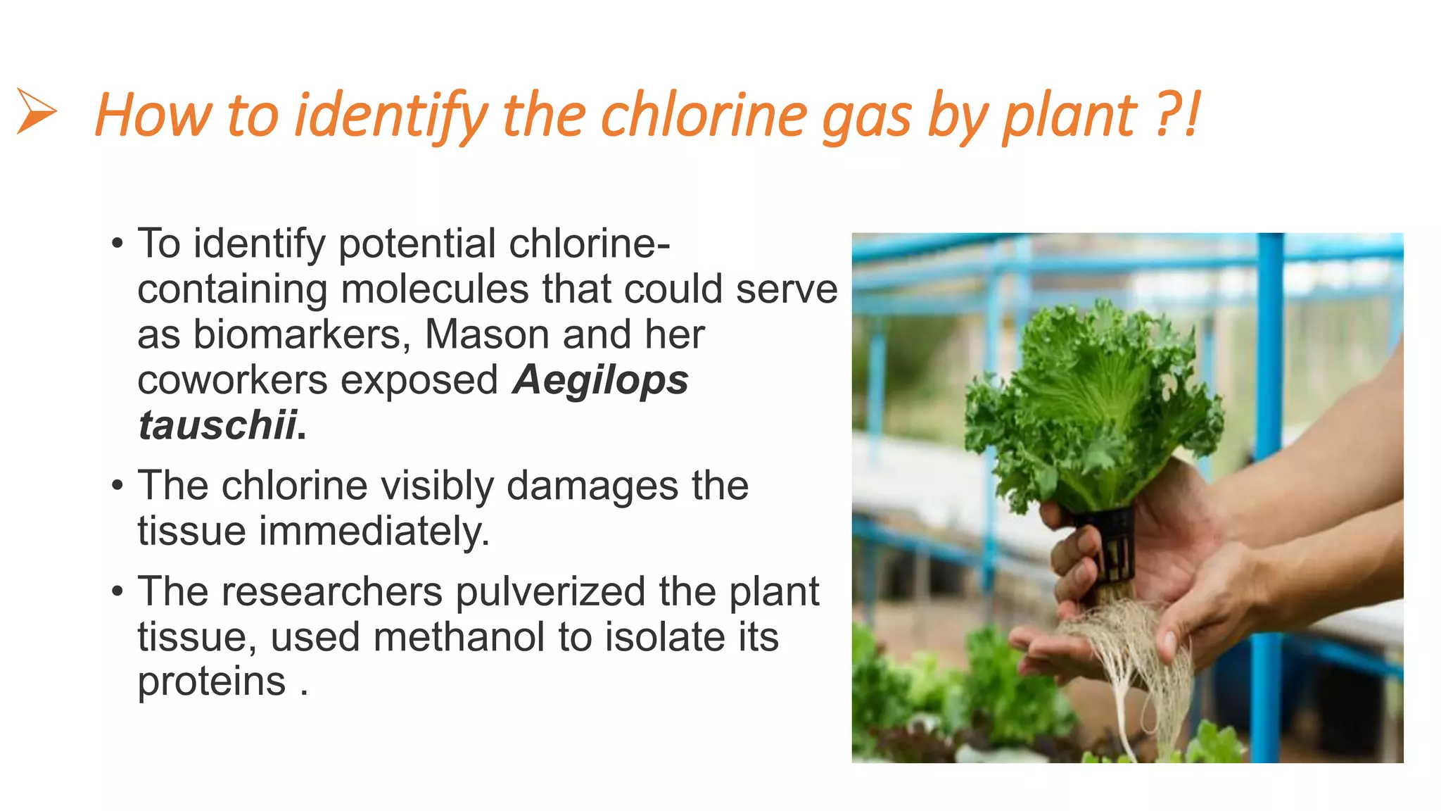 Chemical weapons .pptx