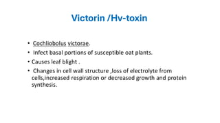 Plant Pathology and Plant Protection,Chemical weapons of pathogens | PDF