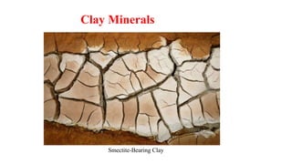 Chemical weathering and formation of clay minerals.pptx