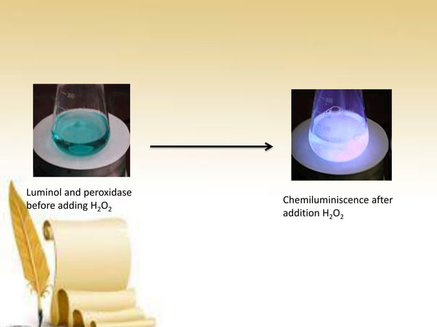 Chemiluminescence | PDF | Chemistry | Science