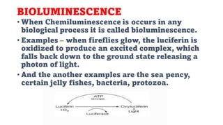 CHEMILUMINESCENCE.ppt | Chemistry | Science