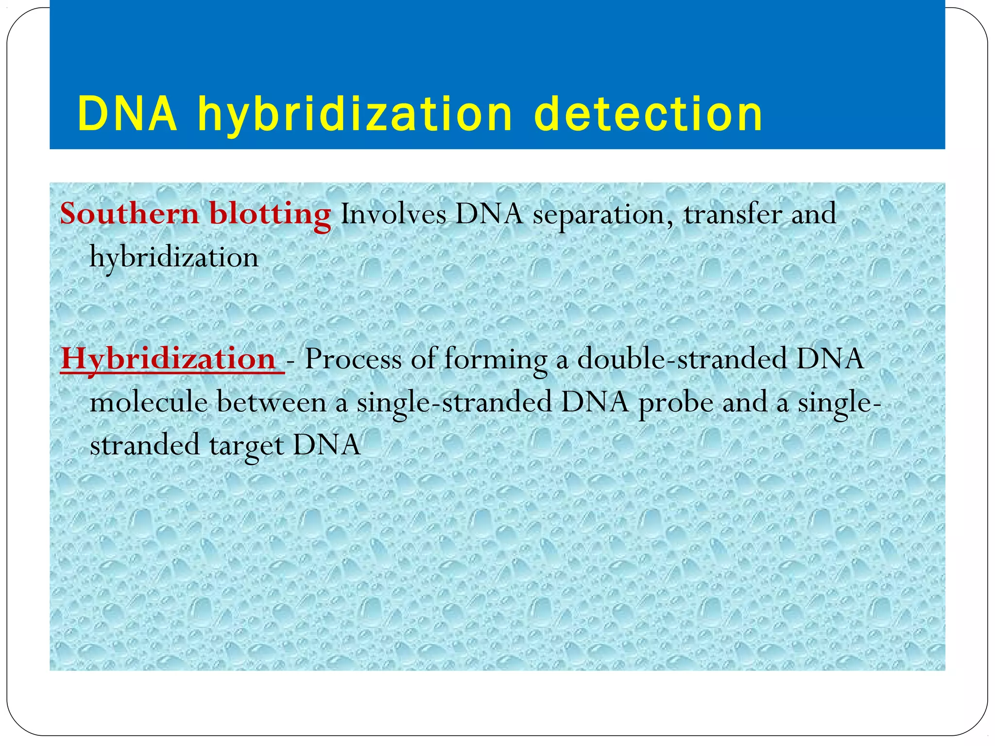 Chemiluminescence Immunoassay (CLIA) Technique | PPT