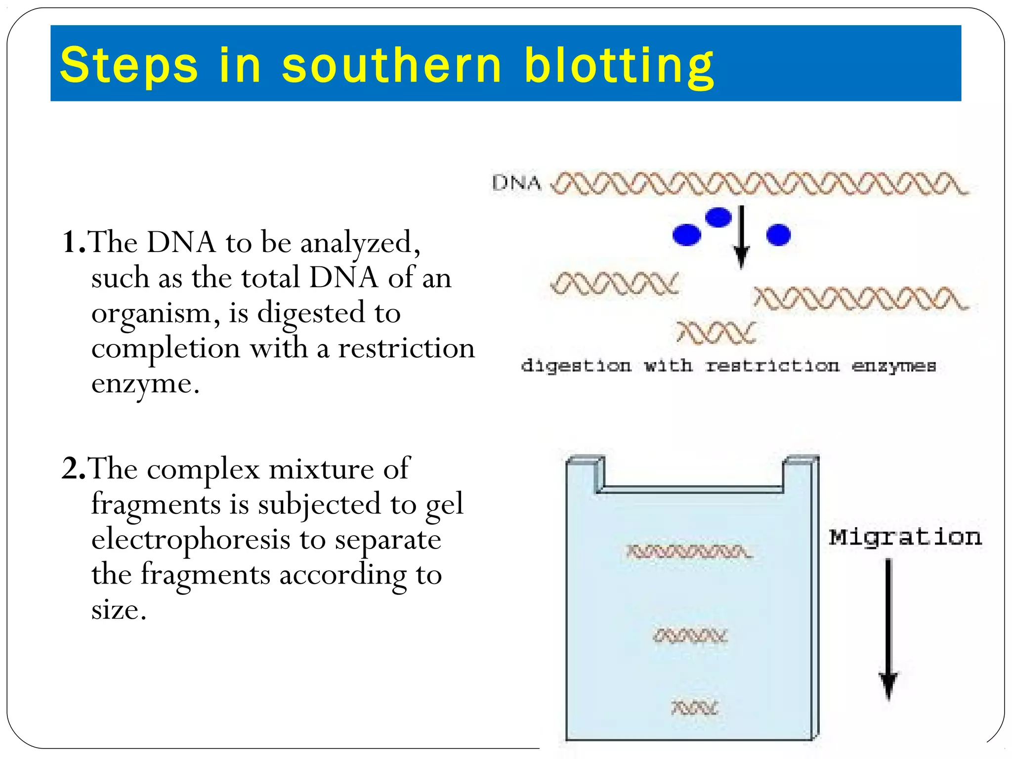 Chemiluminescence Immunoassay (CLIA) Technique | PPT