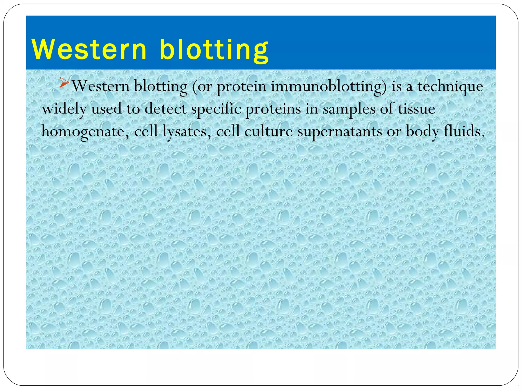 Chemiluminescence Immunoassay (CLIA) Technique | PPT