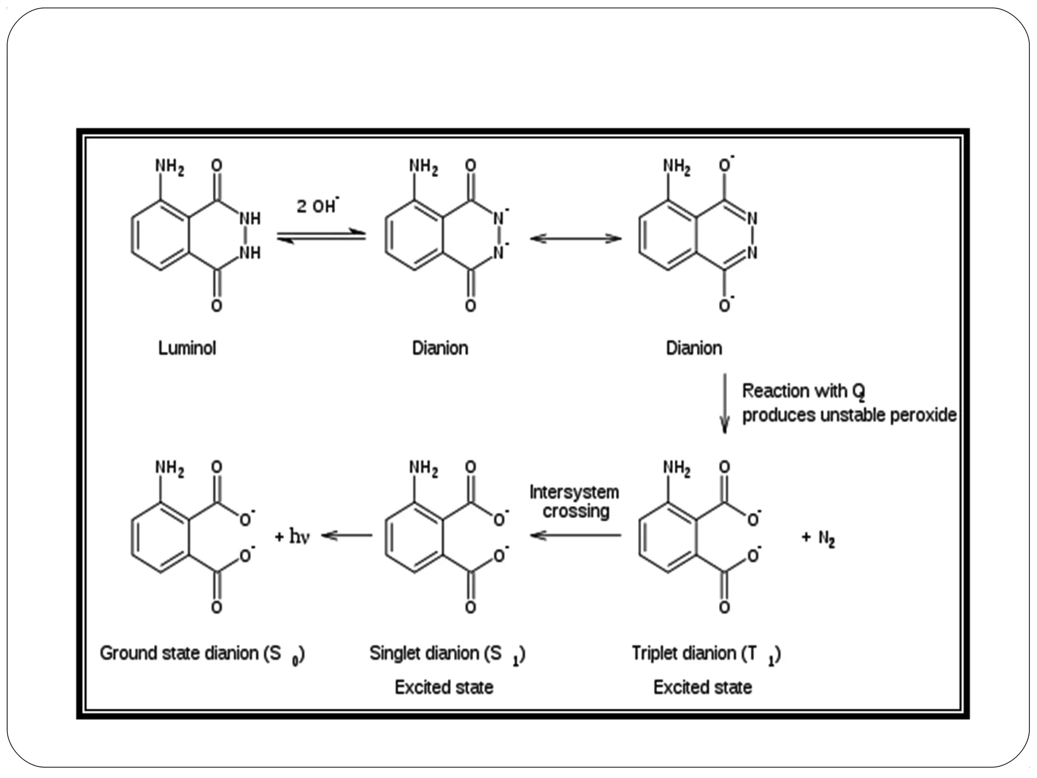Chemiluminescence Immunoassay (CLIA) Technique | PPT