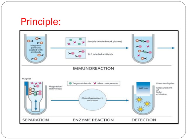 Chemiluminescence Immunoassay (CLIA) Technique | PPT