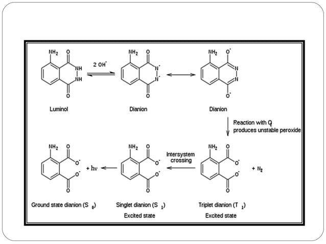 Chemiluminescence Immunoassay (CLIA) Technique | PPT