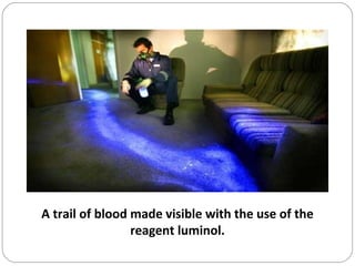 Chemiluminescence Immunoassay (CLIA) Technique | PPT