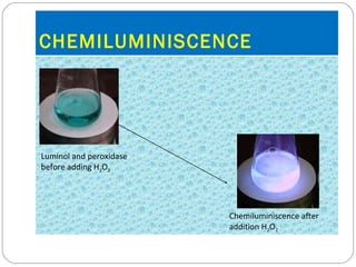 Chemiluminescence Immunoassay (CLIA) Technique | PPT