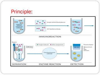 Chemiluminescence Immunoassay (CLIA) Technique | PPT