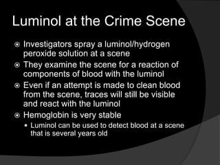 Chemiluminescence in blood stain detection ppt | PPTX