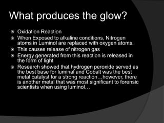 Chemiluminescence in blood stain detection ppt | PPTX