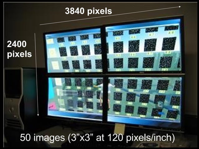 Cheminformatic Display - Life 2.0 Data Visualization Panel | PPT