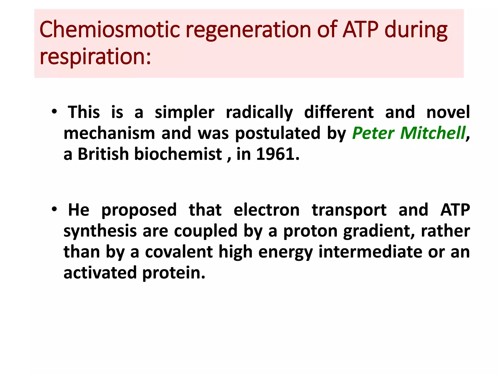Chemiosmotic regeneration of ATP during respiration, fo f1 model of ATpase & role in ATP ...