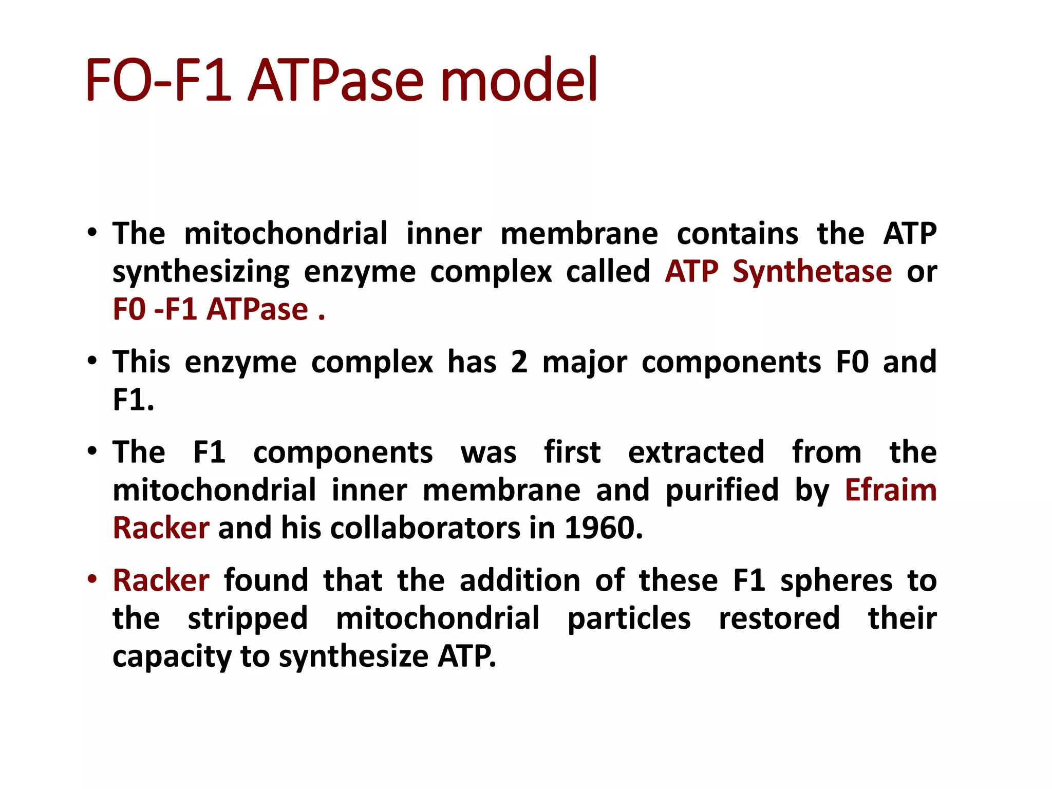 Chemiosmotic regeneration of ATP during respiration, fo f1 model of ...