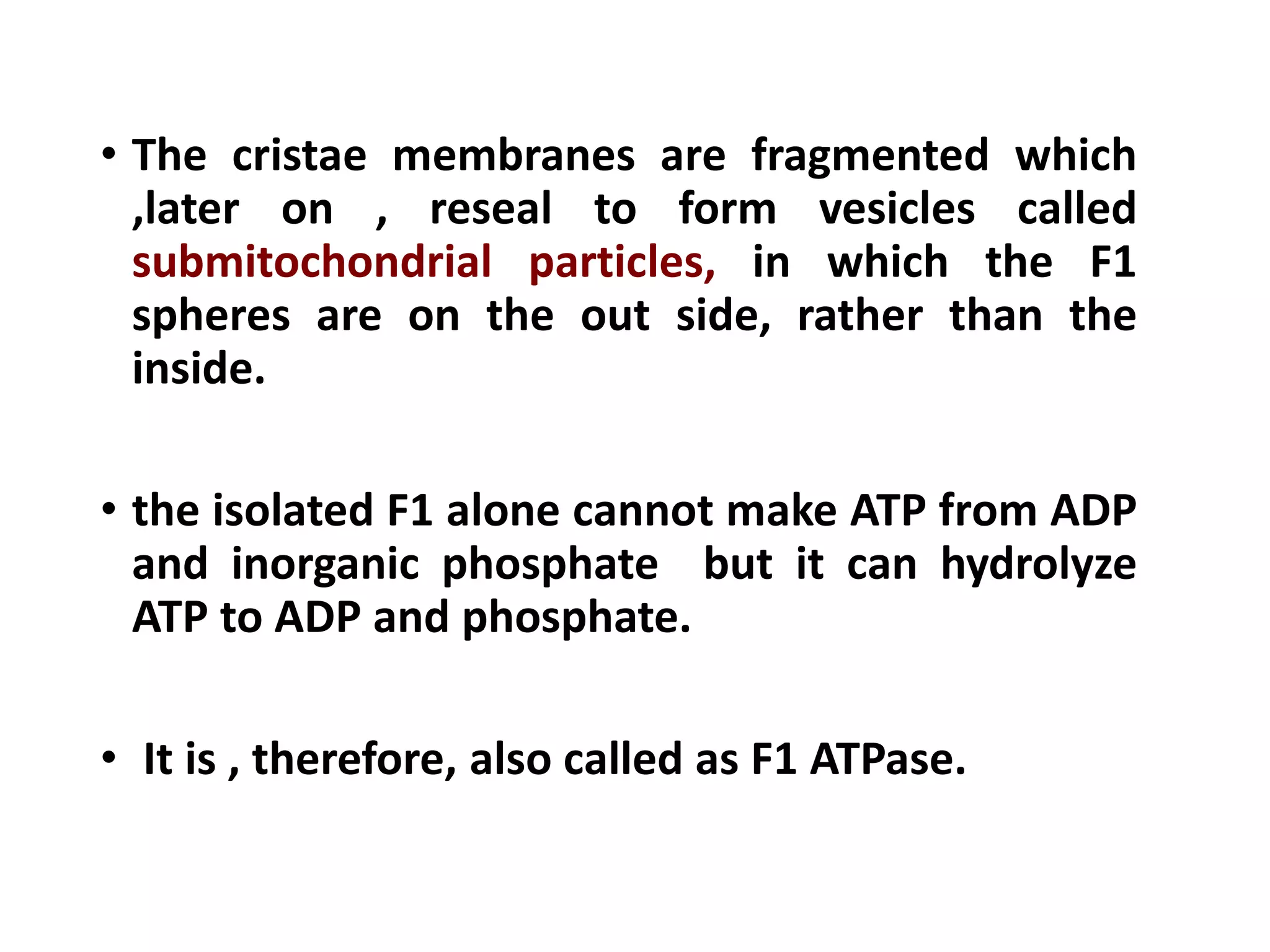 Chemiosmotic regeneration of ATP during respiration, fo f1 model of ...