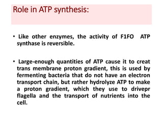 Chemiosmotic regeneration of ATP during respiration, fo f1 model of ...