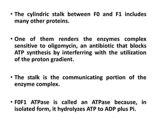 Chemiosmotic regeneration of ATP during respiration, fo f1 model of ...