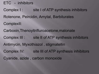 Chemiosmotic theory | PPT