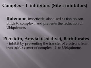 Chemiosmotic theory | PPT