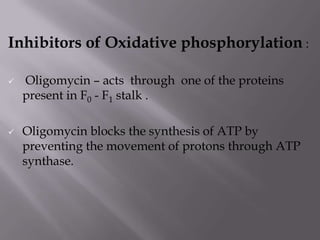 Chemiosmotic theory | PPT