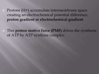 Chemiosmotic theory | PPT