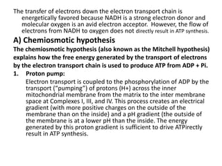 Chemiosmotic theory | PPTX