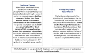 Chemiosmotic Theory | PPTX