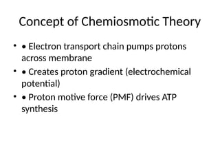 Chemiosmotic_Theory_PPT writeup.pptx ... | PPTX
