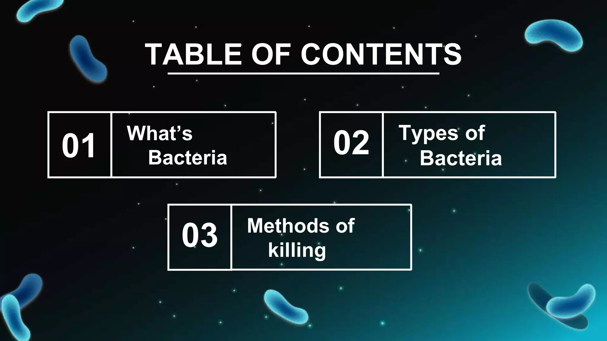 Bacteria | PPT