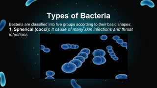 Bacteria | PPTX