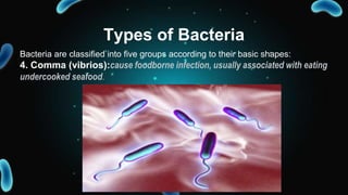 Bacteria | PPTX