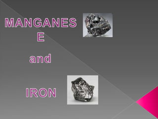 magnesium and iron | PPTX