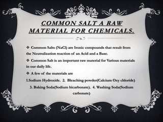Class 10(CBSE) Uses of Salt | PPTX