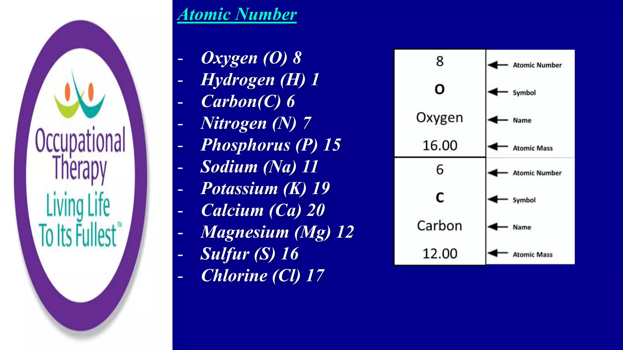 Occupational Therapy Chemical Composition of the Human Body | PPTX