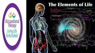 Occupational Therapy Chemical Composition of the Human Body | PPTX