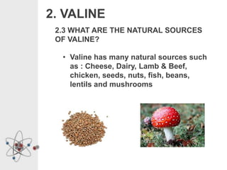 Tyrosine and valine | PPT