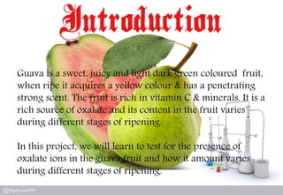 Chemistry Investigatory Project | PPTX