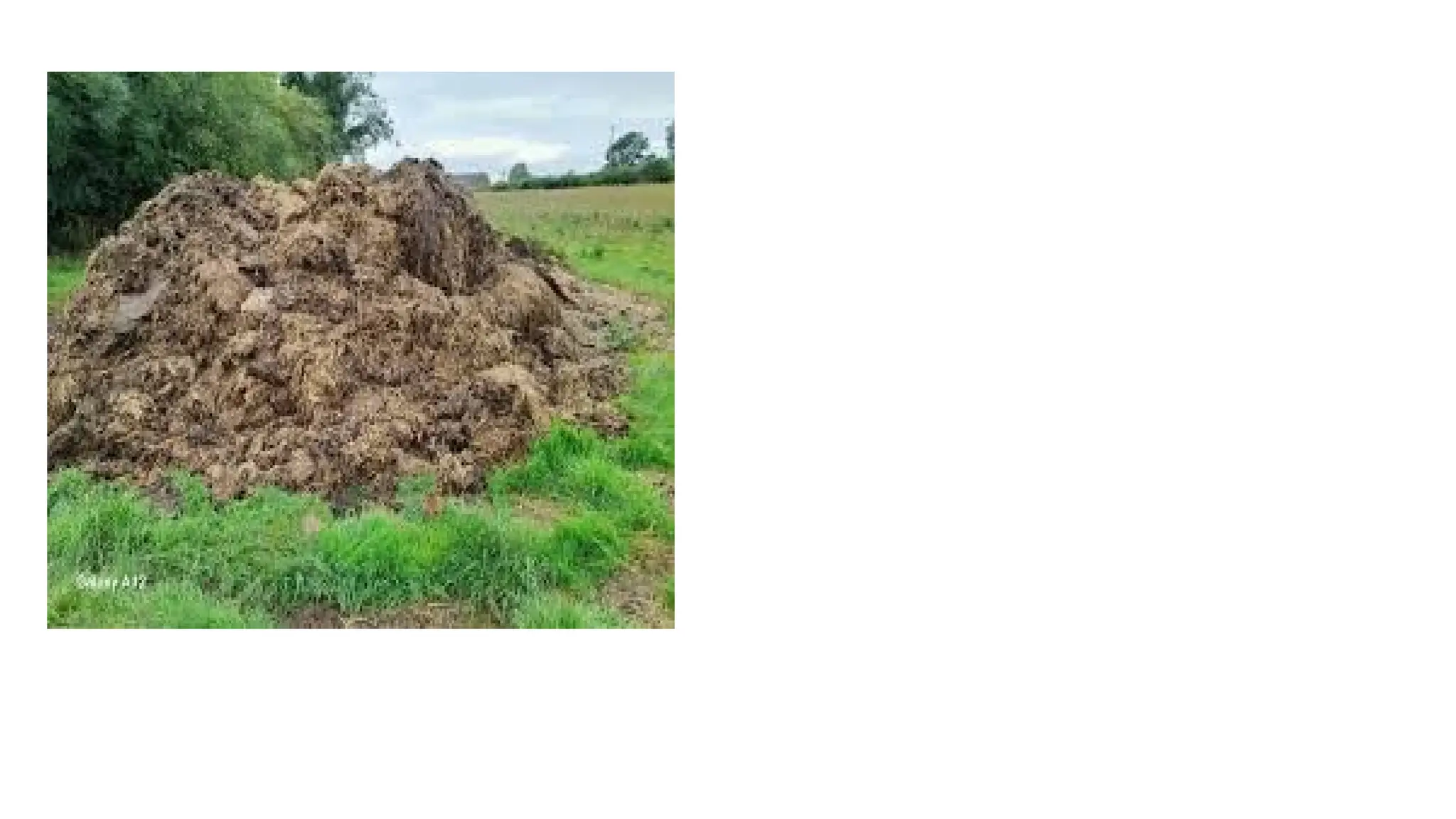 Presentation on the farmyard manure in farming | PPTX